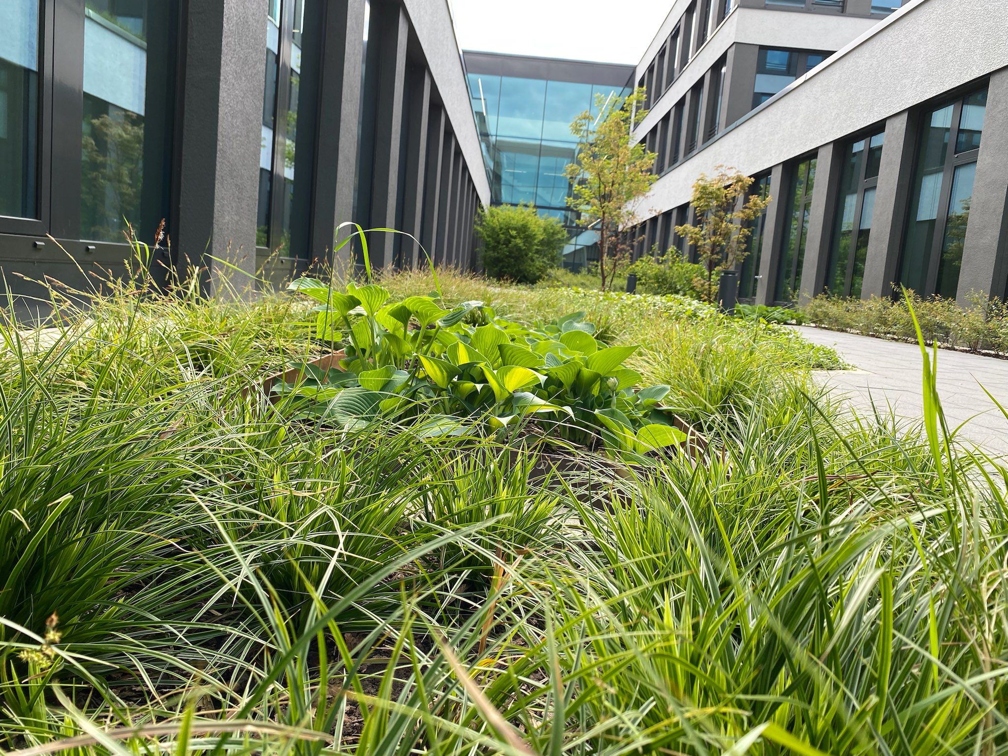 Von Mulert Gmbh Garten Und Landschaftsbau